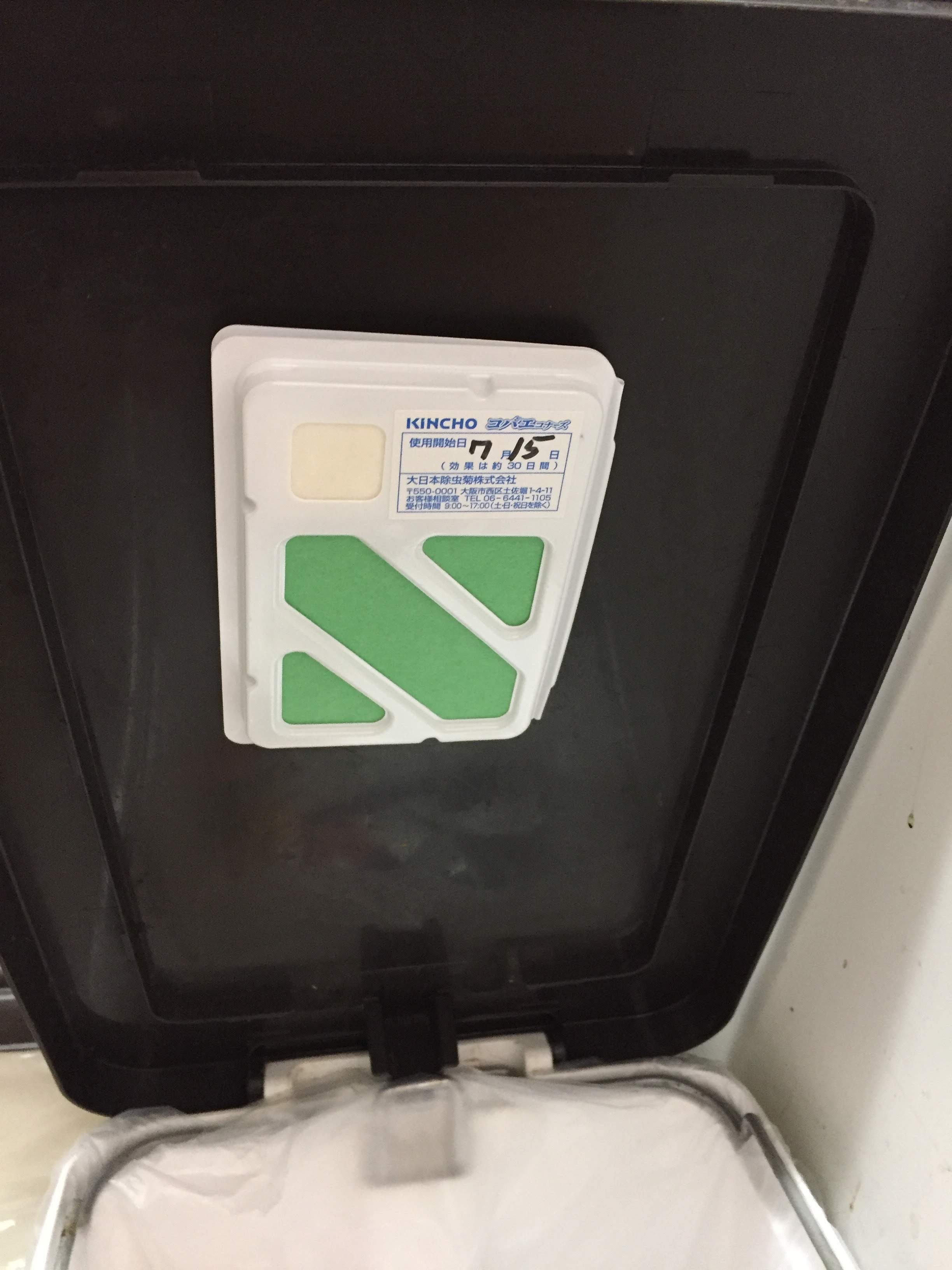 我が家で大量のコバエが発生。対策はコバエコナーズ！ #710